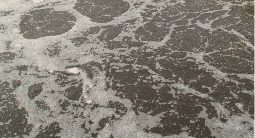 Activated Sludge: The Pinnacle of Sewage Treatment - Fast, Effective ...